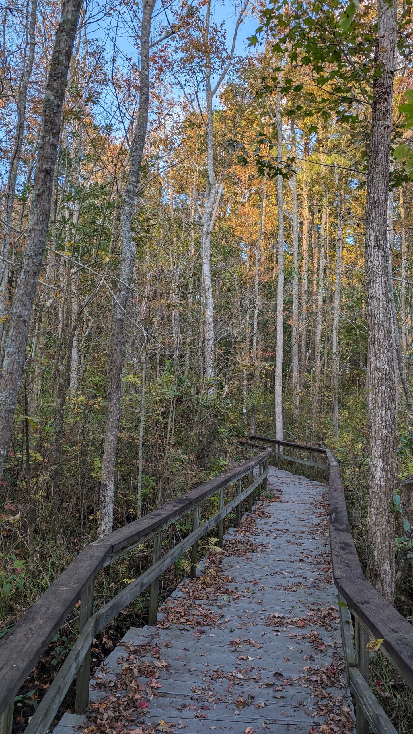 Explore The Eastern Shore – At Home on the Eastern Shore